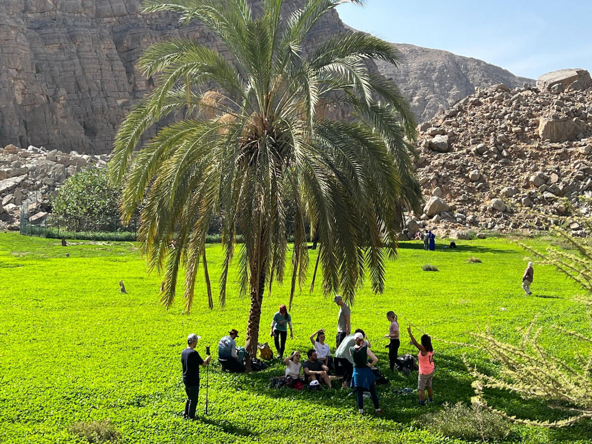 Hidden Oasis of Sal Shahha | MyDubai Communities